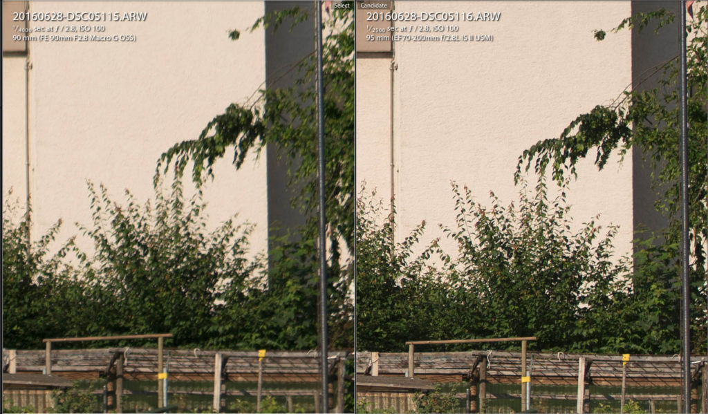 (Guest Post) Sony 90mm F2.8 macro – Rats – I bought a bad copy ...