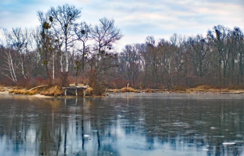 Canon “Dream Lens” review (50mm F/0.95 on the A7rII) | sonyalpharumors