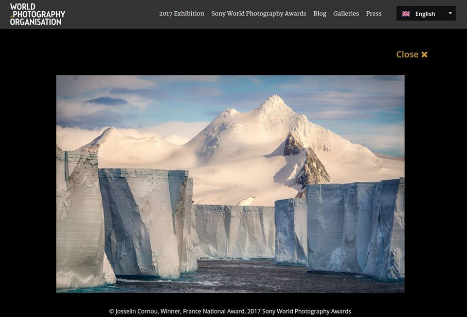 Sony World Photography Award: The world’s best single photographs ...