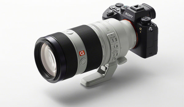 Sony FE 100-400mm f/4.5-5.6 GM OSS Review by Photographylife ...