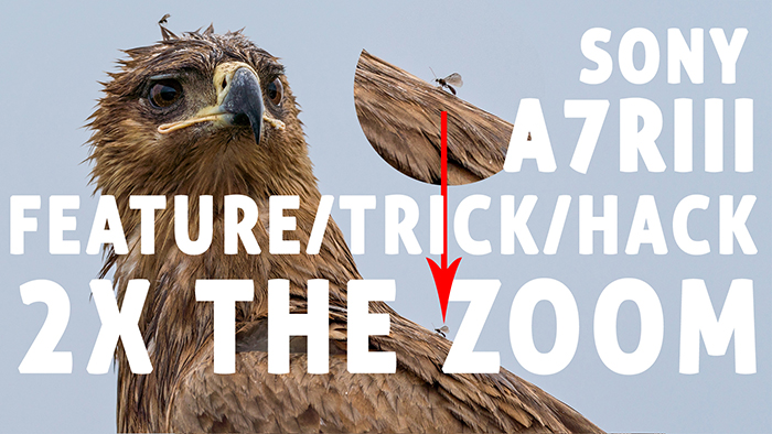 Sony a7RIII Feature – Get 2X THE ZOOM with Beautiful 4K video (by ...