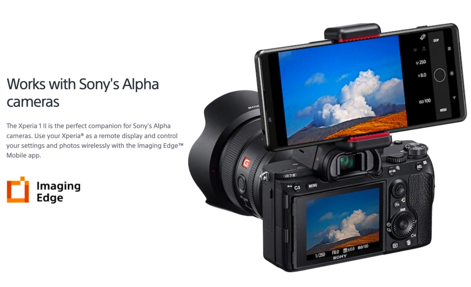 Image shows the new XPERIA 1II as a remote display on your Sony Alpha ...