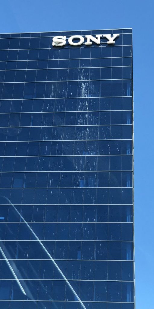 An unexpected Christmas present: A seabird built a nest on the S letter ...