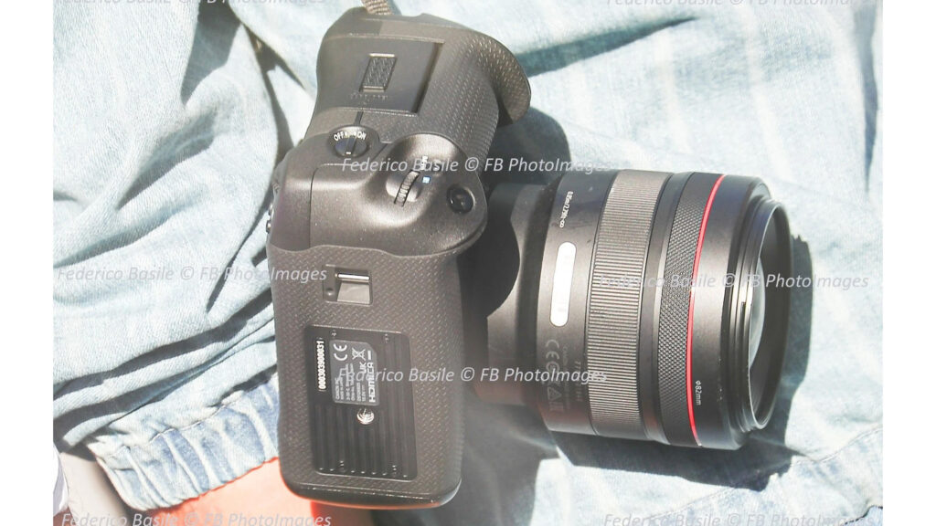 The first real images of the Canon R1… the camera that will compete ...
