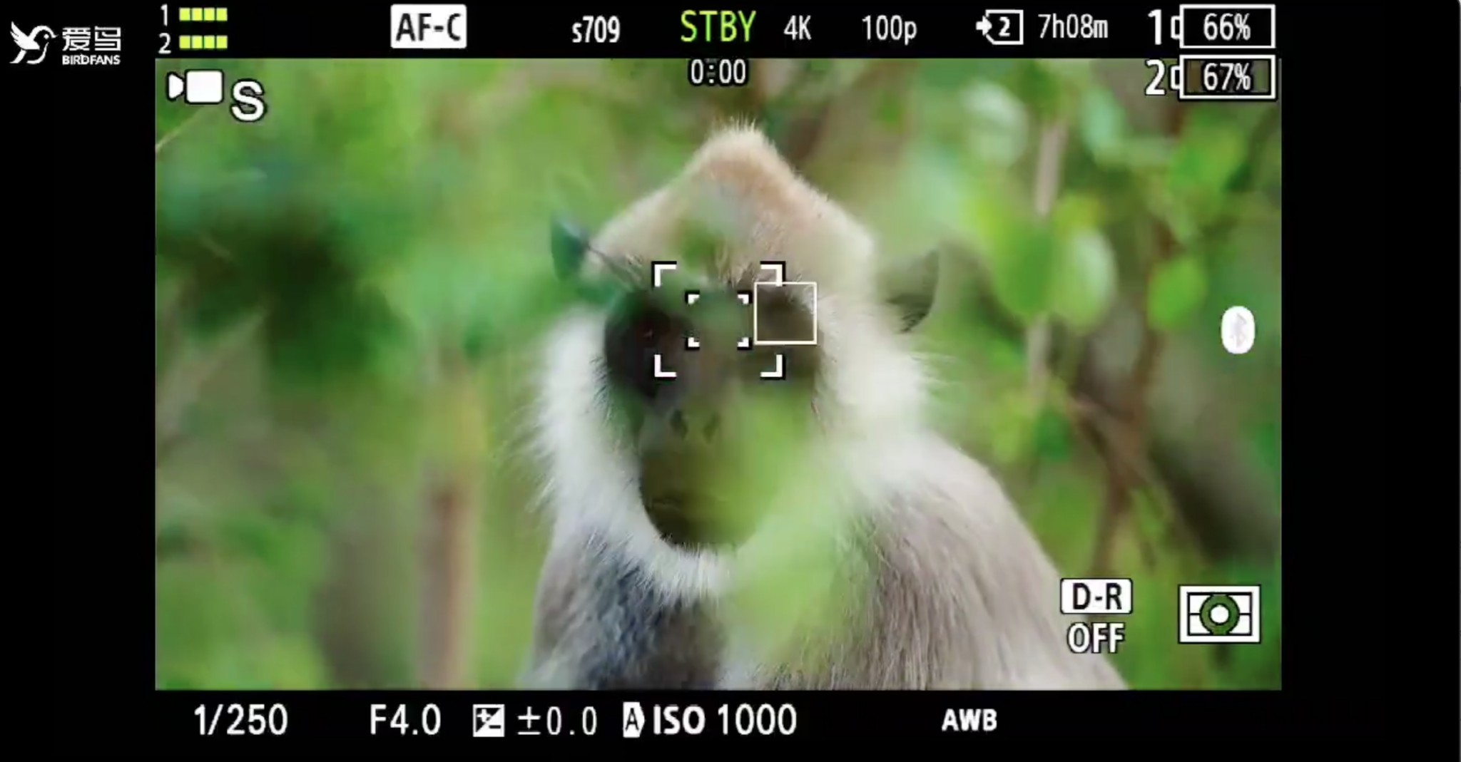 rumors | sonyalpharumors